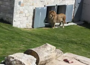 Sarajevskio zoologijos sodas