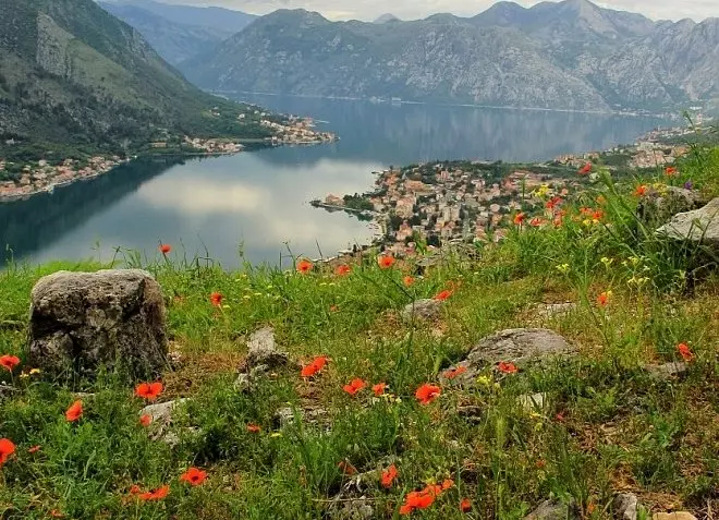 Црна Гора пролет