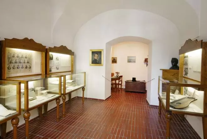 Ziwonetsero za Museum