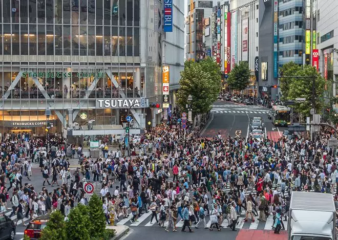 Tokyo Crossroads Sibuya.