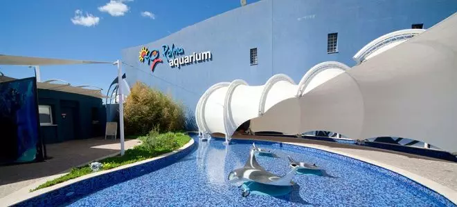 Akvárium, Palma Aquarium - Mallorca 43770_1