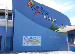Akvarium, Palma Aquarium - Mallorca 43770_2