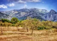 Serra de Tramuntana، Serra de Tramuntana - Mallorca 43778_6