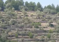 Serra de Tramuntana, Serra de Tramuntana - Mallorca 43778_8