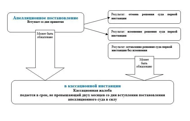 Суд-и шикоят - Марҳаратҳои аз нав дида баромадани парванда, қарори суд, суд ба таври дуруст барои шикоят муроҷиат кардан лозим аст? 4389_4