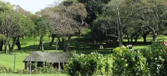 Durban Jaymeson Park və Rosary