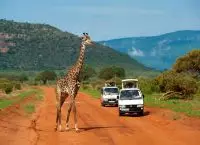 Taman Nasional Tsavo East