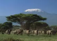 Amboseli نیشنل پارک