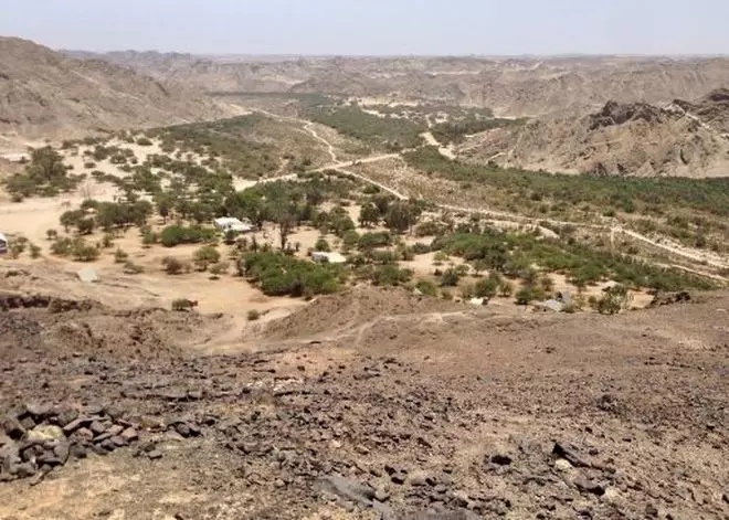 מבט על נווה המדבר של הצ'איקוטס