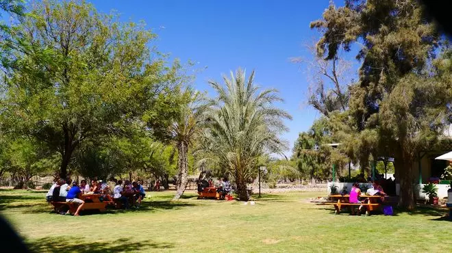 Camping Goanikontes oasis zororo musasa muGoyanikotes