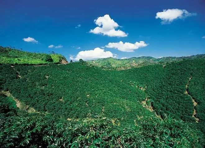 Hosé Rambes Park