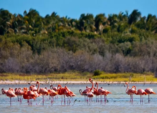 Halagua National Park hauv Dominican koom pheej