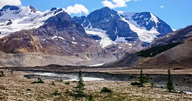 Glacier Atabasca.