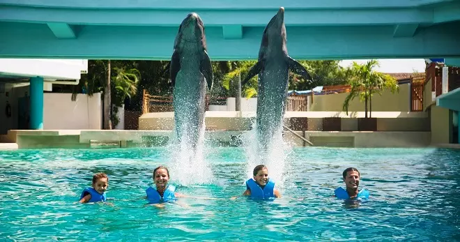 acquario interattivo