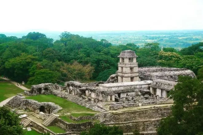 Natura nelle vicinanze della città