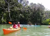 Kajakpaddling på Golfo de Chiriki