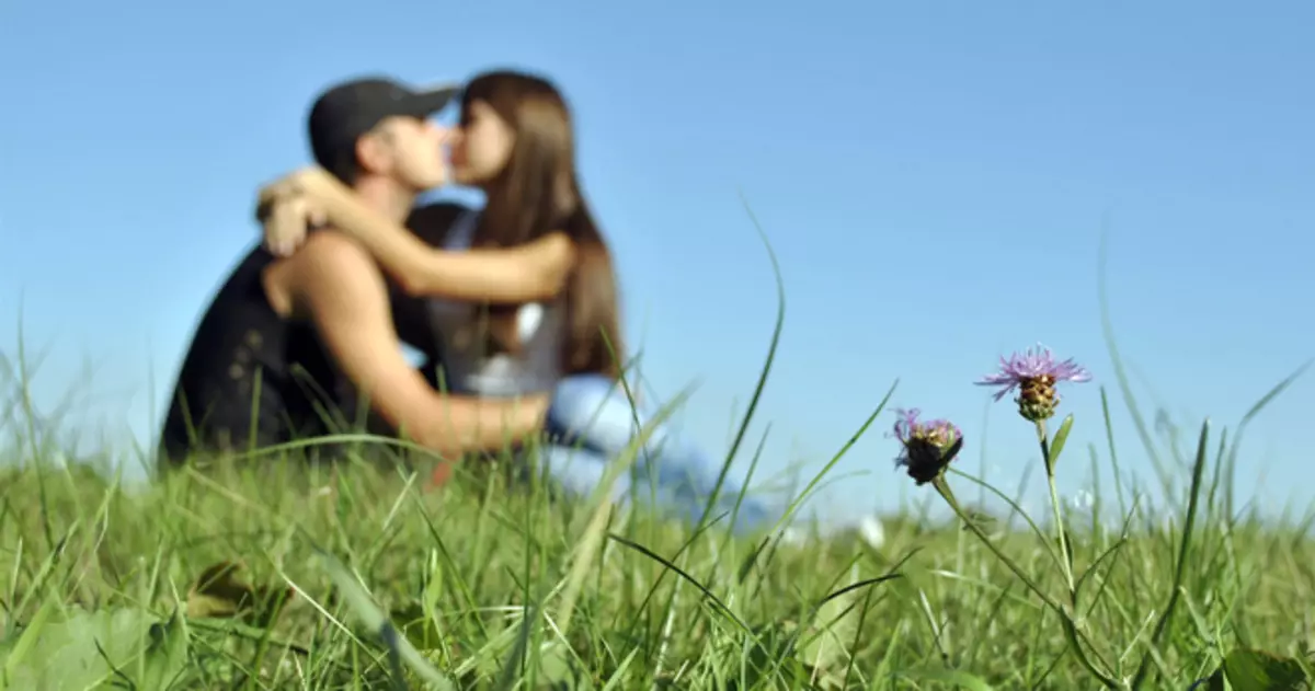 Seks in die natuur - hoe om dit te doen, die reëls van sulke seksuele kontak, watter poste moet gebruik word?