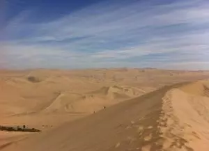 Gum dunes