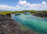 Isla de Las Tintorera