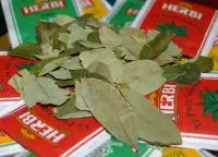 Coca daun