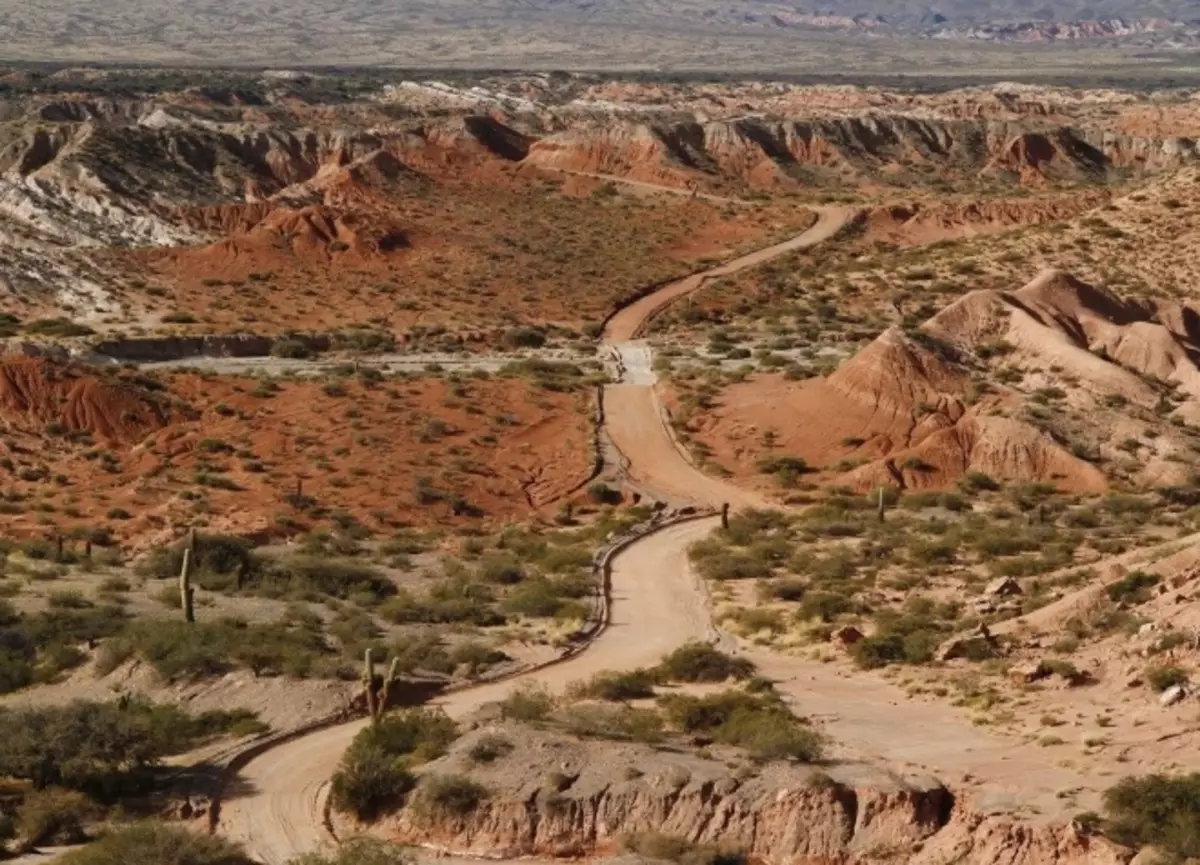 Stony Desert