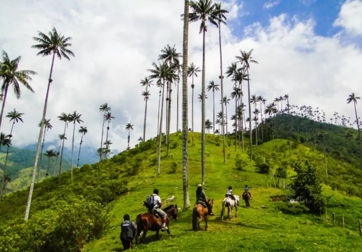 Camiñando con cabalos