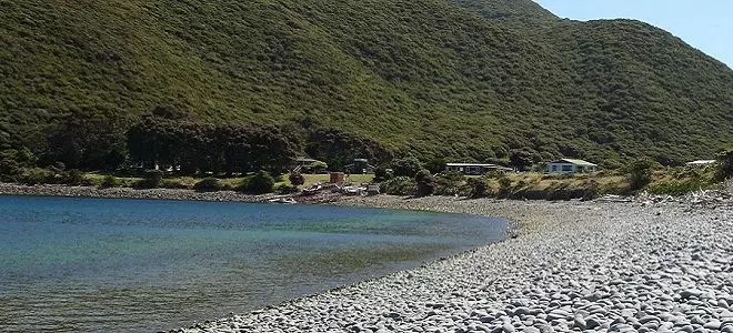 Bird Reserve Otok Kapiti