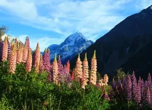 Mount Cook