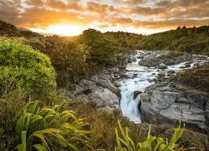 Stream alpin în Tongariro