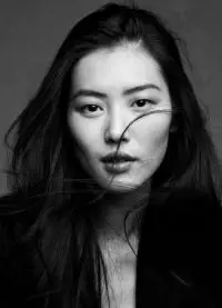 Liu Wen.