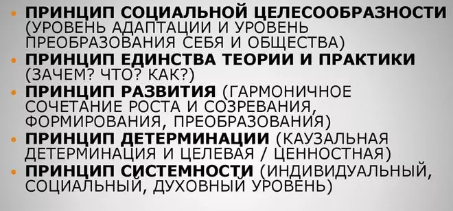 Сургуулиудын сэтгэл зүй - зарчмууд, функц, бүтэц, барилга, ажил, тодорхойлолт, асуудлууд 4768_3