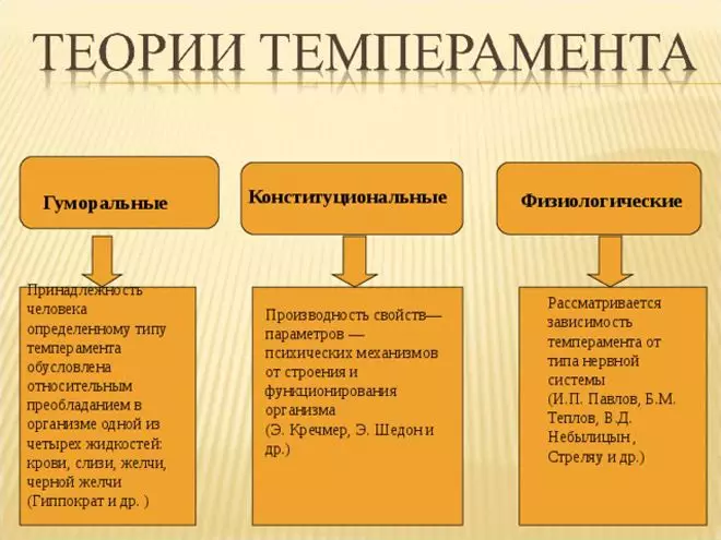 Що таке темперамент - теорії, види, змішані типи, плюси і мінуси, чи можна змінити? 4782_4