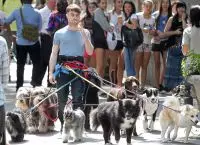 Daniel Radcliffe Wives Honde