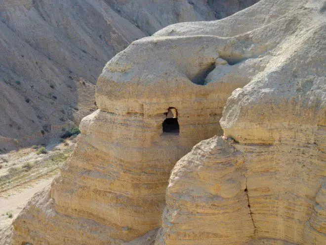 აღმოაჩენს bedouin