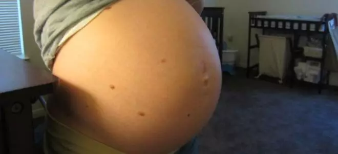 38 wekelijks zwangerschap - wat gebeurt er met de baby? Geboorte in de 38 weken van de zwangerschap - HareBingers van de bevalling in herhaald, primordin 5057_3