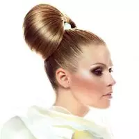 Όμορφα υψηλά hairstyles 7