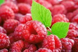 ស្លឹក raspberry មុនពេលសម្រាលកូន