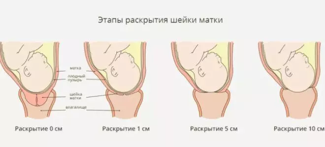 Раждане на дете - периоди на раждане. Как да разберем, че скоро ще започне раждането? Какво чувства детето по време на раждане? 5278_2