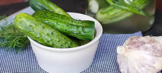 Crispy Malossal Cucumber - Recipe.