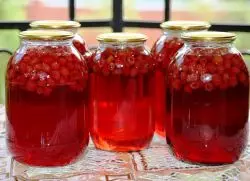 compote ຈາກ raspberry ສໍາລັບລະດູຫນາວໂດຍບໍ່ມີການເປັນຫມັນ