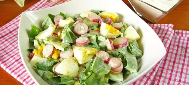 Cherems salada com pepino rudy