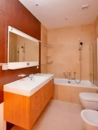 Combined bath with toilet design 3