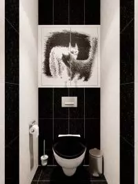 Black and white toilet design 1