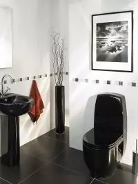 Black and white toilet design 2