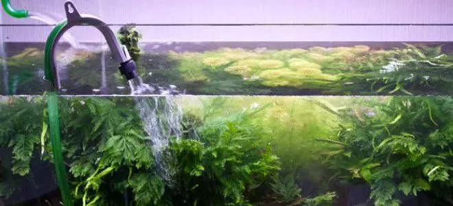 Замена на вода во аквариум