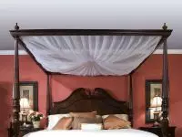 1. Bed with canopy