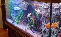 Mawe ya Aquarium 1.