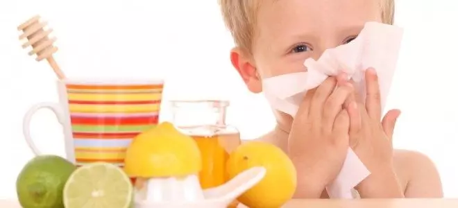 La profilassi influenzale nei bambini è misure non specifiche e specifiche, prevenzione influenzale. Come non infettare l'influenza se le case del paziente? 5799_3