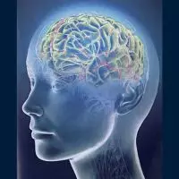 انساني دماغ جي امکانات
