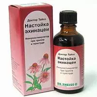 Makulayan ng echinacea kung paano tumagal